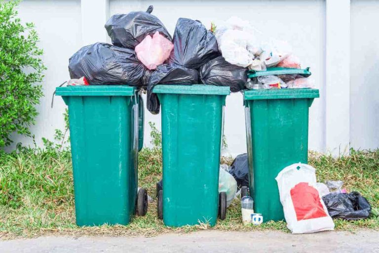 12 Garbage Can Etiquette Tips - Excellentetiquette